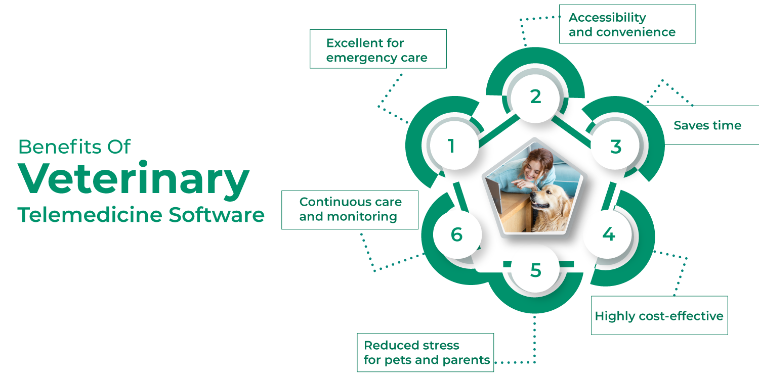 Veterinary Telemedicine: Furry Friend Care From Home